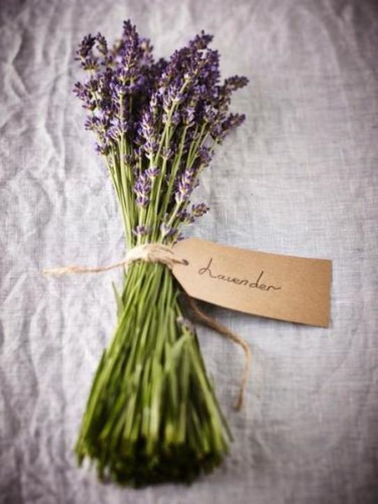 The Top Five Flowers To Boost Your Wellbeing — Flowercard - Thinking of You