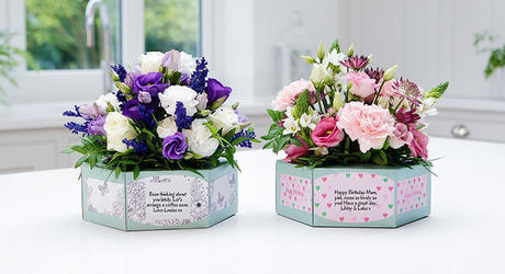 Flower boxes gift delivery