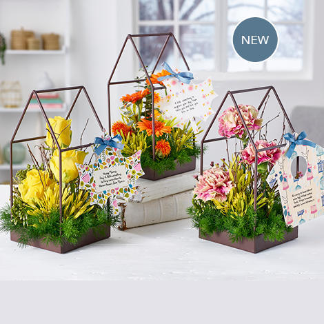 Flowercard | Fresh Flower Delivery & Flowers By Post (In A Card)