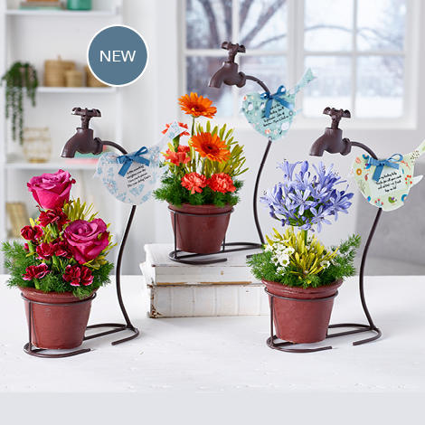 Flowercard | Fresh Flower Delivery & Flowers By Post (In A Card)