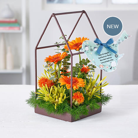 Flowercard | Fresh Flower Delivery & Flowers By Post (In A Card)