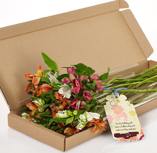Letterbox Flowers - Send Beautiful Flowers Online — Flowercard ...