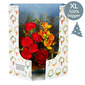 Flowercard | Fresh Flower Delivery & Flowers By Post (In A Card)