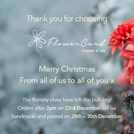 The Original Flowercard | Personalised Greetings Cards & Gifts