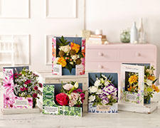 The Original Flowercard | Personalised Greetings Cards & Gifts